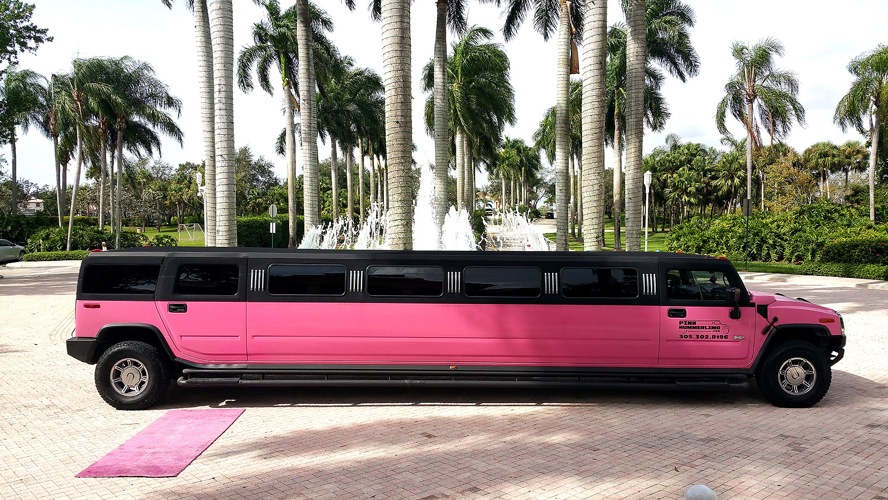 Clients Gallery – pinklimo